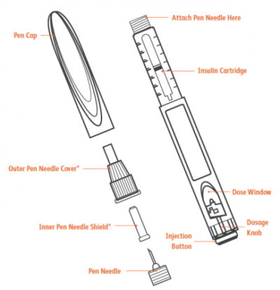 Anatomy of the Medication Pen • HowToDoInjections.com